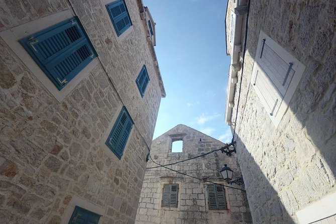 Kayaking to the Island Prvić - Included Amenities