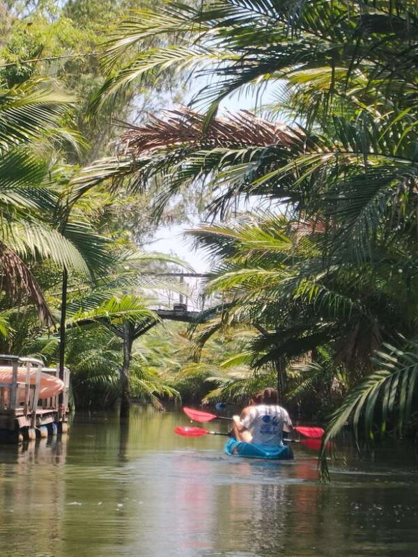 Kayaking tour around green cathedral - The Practical Details
