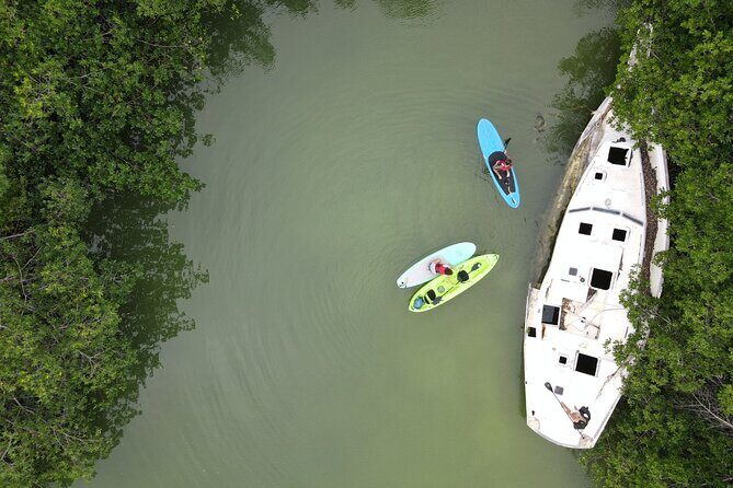Kayaking Tour in Cancun - Practical Details and Tips