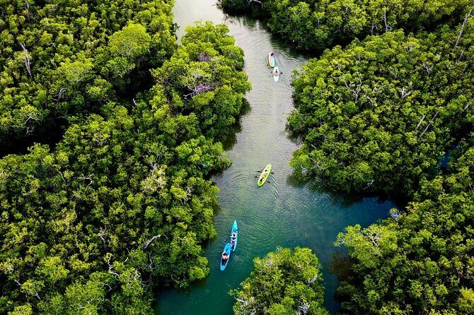 Kayaking Tour in Cancun - Who Would Love This Tour?