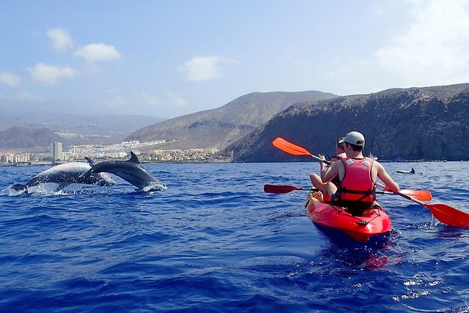 Kayaking with Dolphins and Turtles and Snorkelling in Tenerife - Authentic Encounters on the Water: What You Can Expect