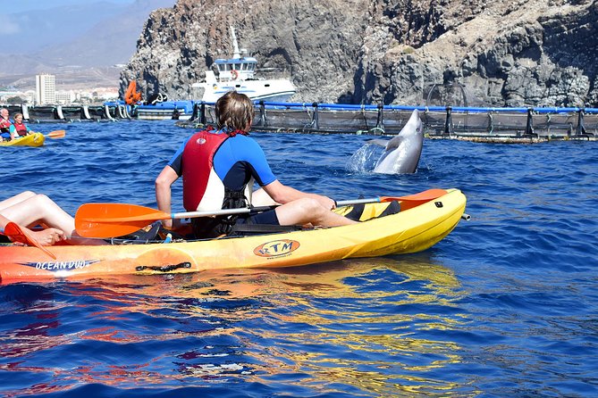 Kayaking with Dolphins and Turtles and Snorkelling in Tenerife - Practical Tips for Your Kayaking Adventure