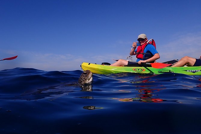 Kayaking with Dolphins and Turtles and Snorkelling in Tenerife - FAQ