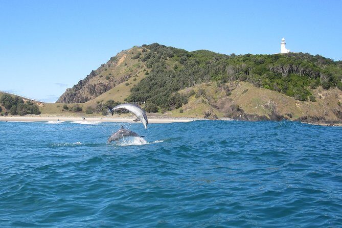 Kayaking with Dolphins in Byron Bay Guided Tour - An Authentic Byron Bay Experience: What to Expect