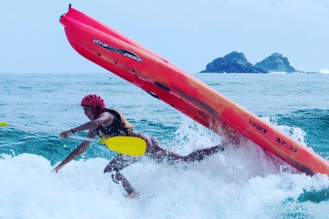 Kayaking with Dolphins in Byron Bay Guided Tour - The Sum Up