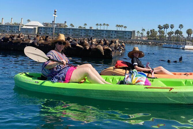 Kayaking with Sea Lions in a Calm Beautiful Harbor - Introduction: An Accessible Adventure in Redondo Beach