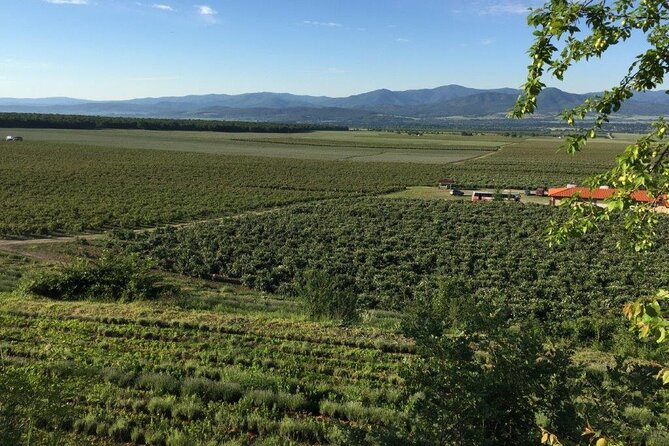 Kazanlak Full-Day Tour from Sofia - Final Thoughts