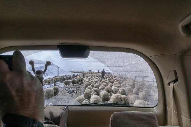 Kazbegi Adventure - Private Day Trip From Tbilisi with a Dinner + Masterclass - Price and Value