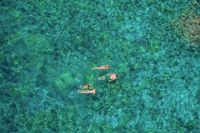Kealakekua Bay Afternoon Snorkel: Family Fun on the Kona Coast - Final Words