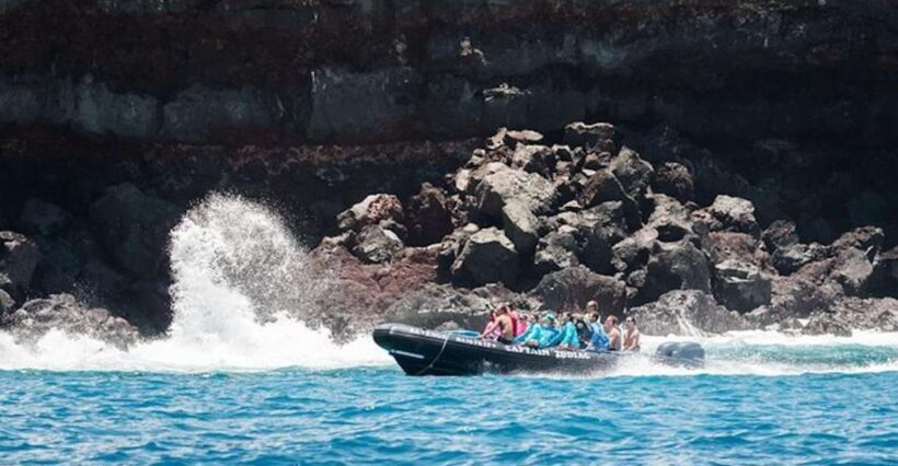 Kealakekua Bay: Snorkel and Coastal Adventure with Lunch - The Itinerary: What to Expect