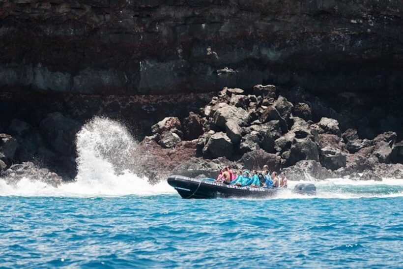 Kealakekua Bay: Snorkel and Coastal Adventure with Lunch - Who Will Love This Experience?