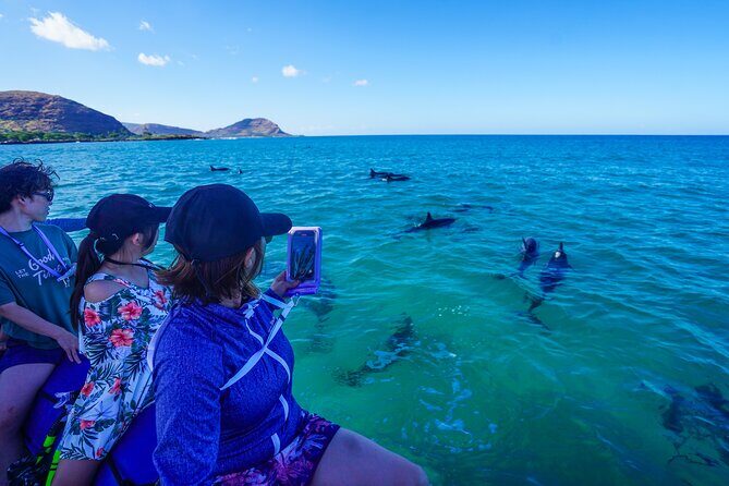 Kealakekua Bay Snorkel & Dolphin Watch In Kona - FAQ