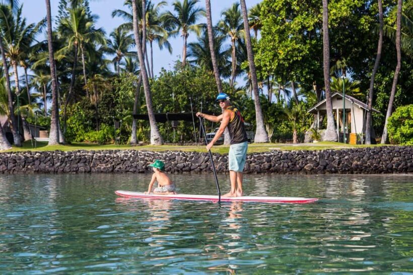 Kealakekua Bay: Stand-Up Paddleboard Lesson or Tour - Why You’ll Love the Kealakekua Bay Paddleboard Experience