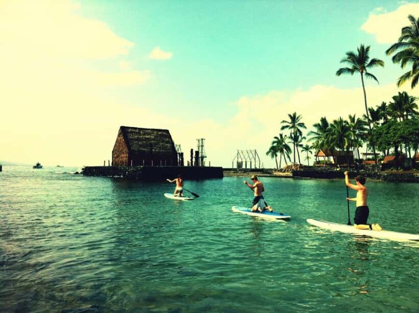 Kealakekua Bay: Stand-Up Paddleboard Lesson or Tour - What the Experience Looks Like