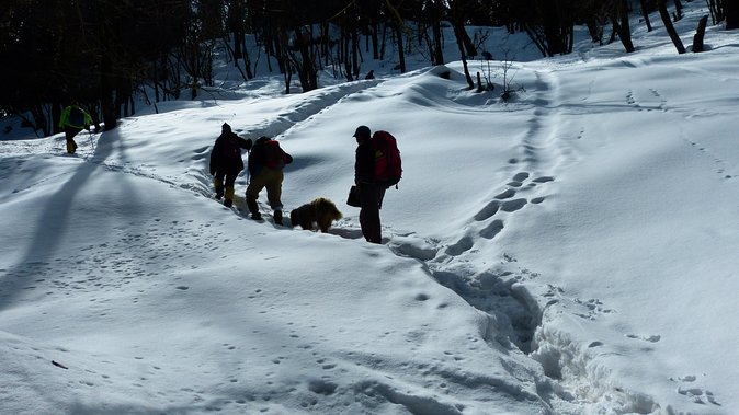 Kedarkantha Trek - What Makes This Trek Worth the Cost