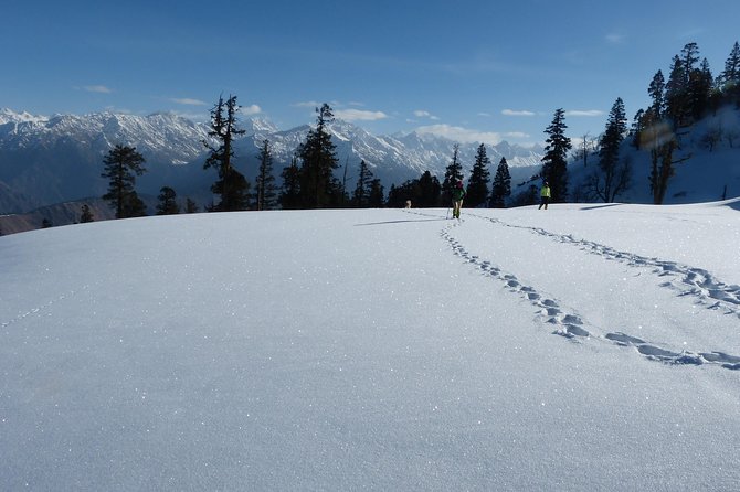 Kedarkantha Trek - The Sum Up: Who Should Consider This Trek?