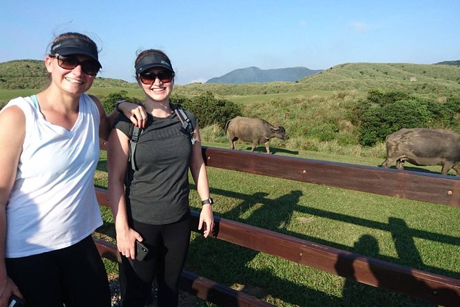 Keelung Shore Excursion: Yangmingshan Hot Spring and Wild Vegetable Cuisine Tour - The Value of Guided, Private Transportation