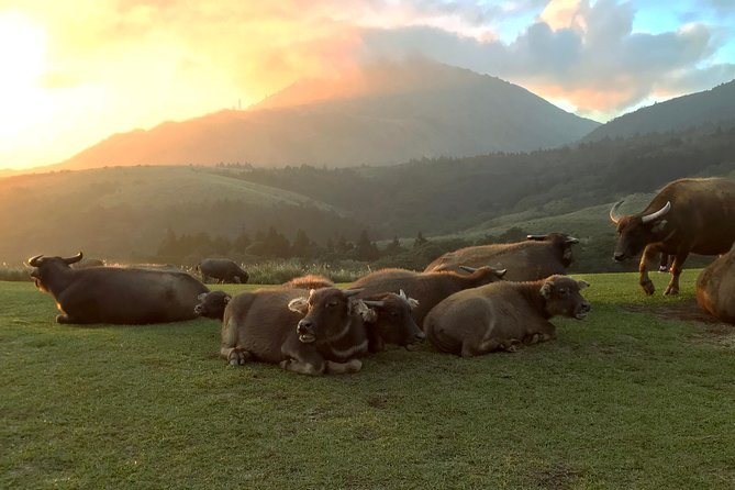 Keelung Shore Excursion: Yangmingshan Hot Spring and Wild Vegetable Cuisine Tour - What Travelers Say
