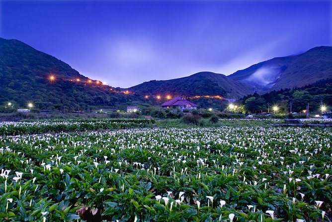 Keelung Shore Excursion: Yangmingshan Hot Spring and Wild Vegetable Cuisine Tour - Practical Details and Tips