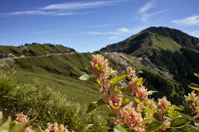 Keelung Shore Excursion: Yangmingshan Hot Spring and Wild Vegetable Cuisine Tour - The Sum Up
