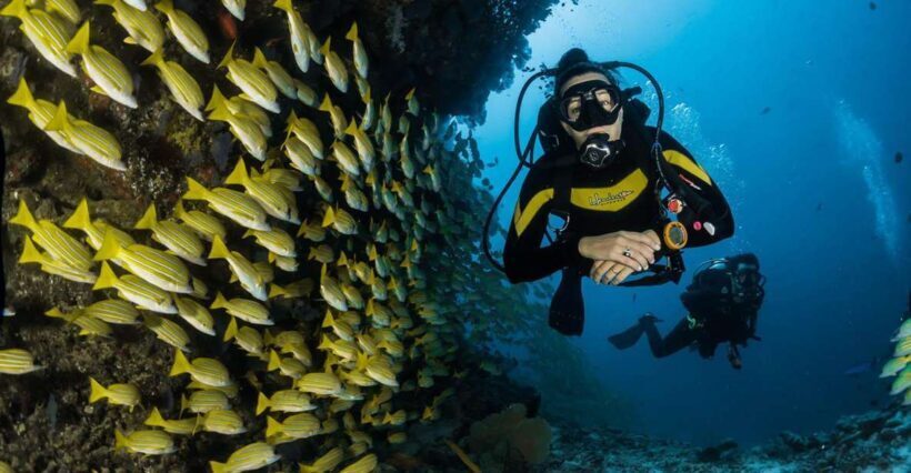 Kefalonia: Beginner Scuba Diving at Agia Efimia Village - What You Can Expect from the Tour