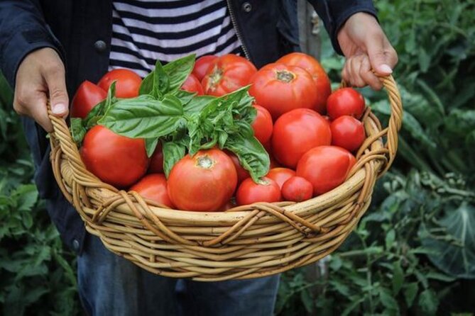 Kefalonia Gems & Wine Tasting - Small Group Tour - Evaluating Guest Feedback: The Good and the Need for Improvement