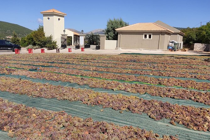 Kefalonia Half Day Private Tour & Shore Excursion - Tour Experience