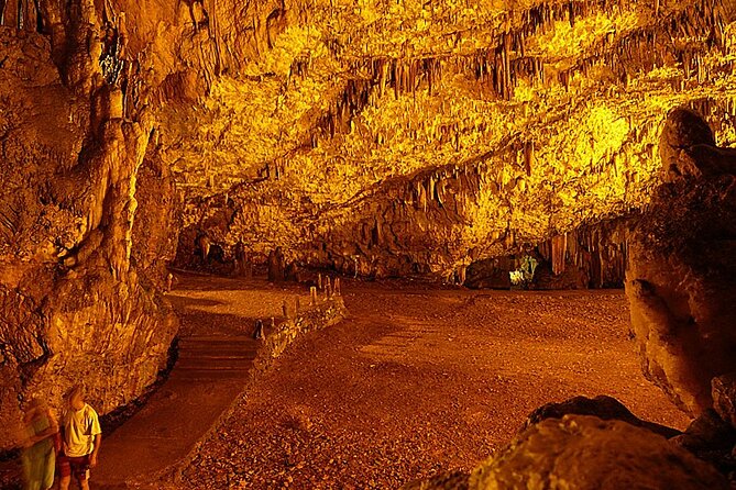 Kefalonia Highlights: Robola Winery, Melissani Lake & Fiscardo - Who Will Love This Tour?