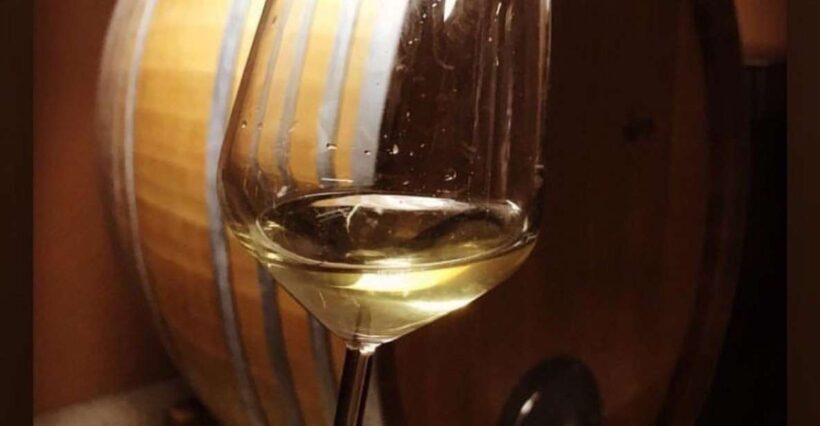 Kefalonia: Private Wine Tasting with Vineyard Tour - Final Thoughts
