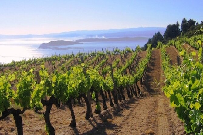 Kefalonia Private Wine Tour - Practical Details & Tips