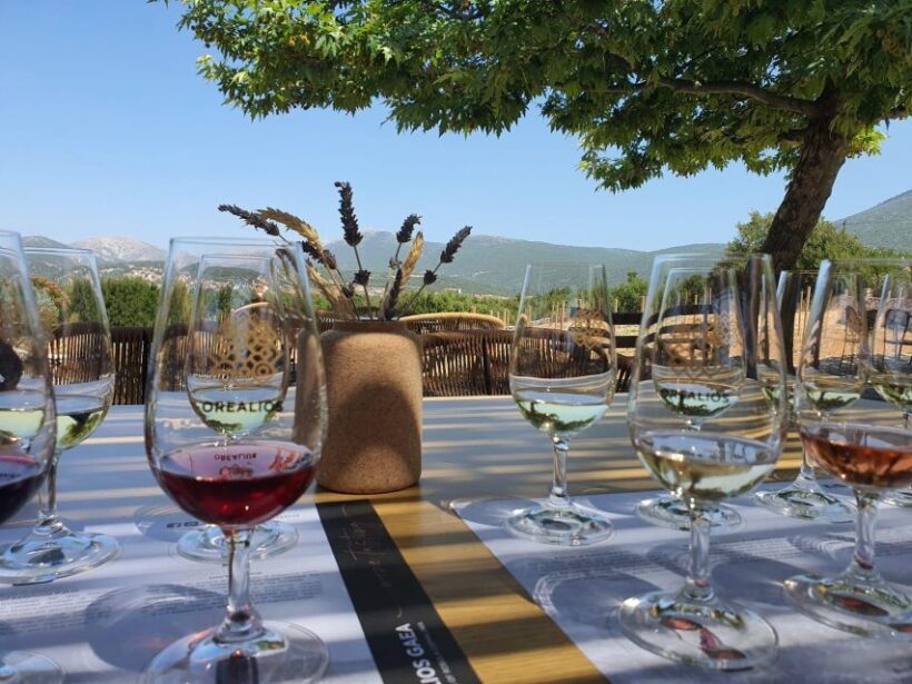 Kefalonia Wine Adventure in 3 Wineries With Tastings - Who Will Love This Tour?