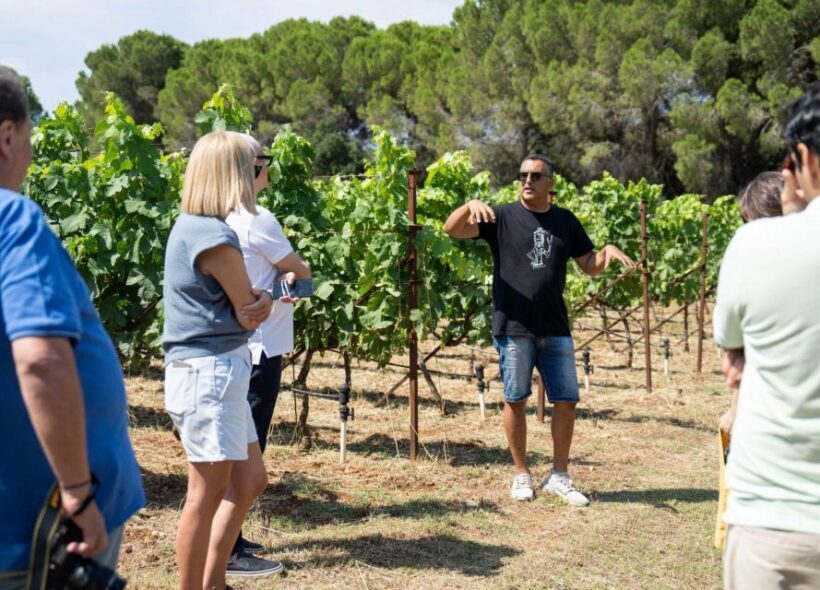 Kefalonia Wine Adventure in 3 Wineries With Tastings - Final Thoughts: Is It Worth It?