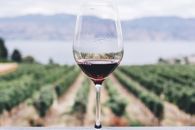 Kefalonia Wine Adventure in 3 Wineries With Tastings - An In-Depth Look at the Kefalonia Wine Tour