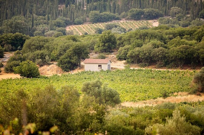 Kefalonia Wine Adventure in 3 Wineries With Tastings - FAQ