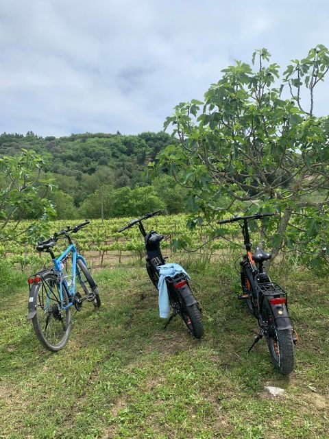 Kefalonia Wine Tour on E-Bikes - What to Expect from the Kefalonia E-Bike Wine Tour