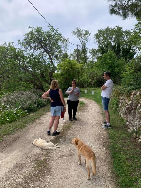 Kefalonia Wine Tour on E-Bikes - FAQ