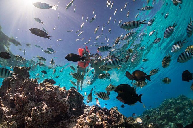 Keishi Tour Half Day Shared Excursion - Exploring the Keishi Tour Half Day Shared Excursion: A Deep Dive