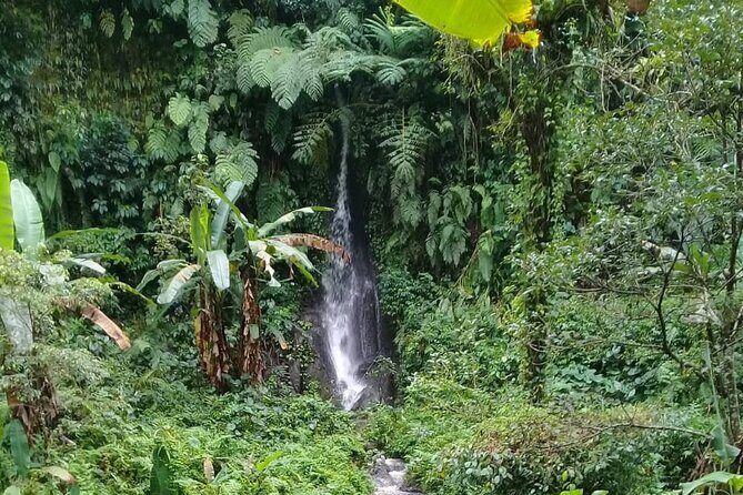Keliki Village Tour And Rice Field Walk Including Lunch Or Dinner - An In-Depth Look at the Keliki Village Tour