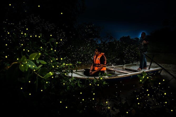 'Kelip Kelip' Fireflies Tour include Seafood Dinner & Boat Ride - Key Points