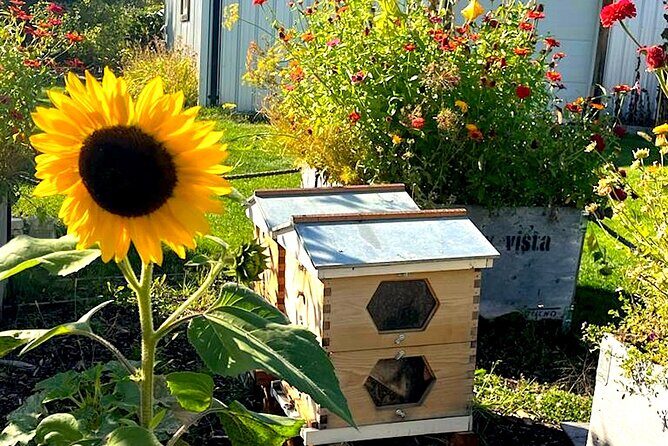 Kelowna E-Bike Bee Tour, Tastings, Organic Lunch & Audio Guide - Possible Drawbacks and Considerations