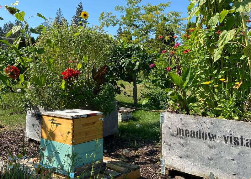 Kelowna: E-Bike Bee Tour w/ Tastings, Lunch, and Audioguide - Practical Details & Considerations