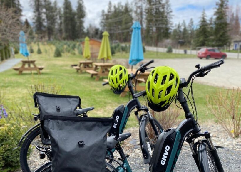 Kelowna: E-Bike Bee Tour w/ Tastings, Lunch, and Audioguide - Why This Tour Works