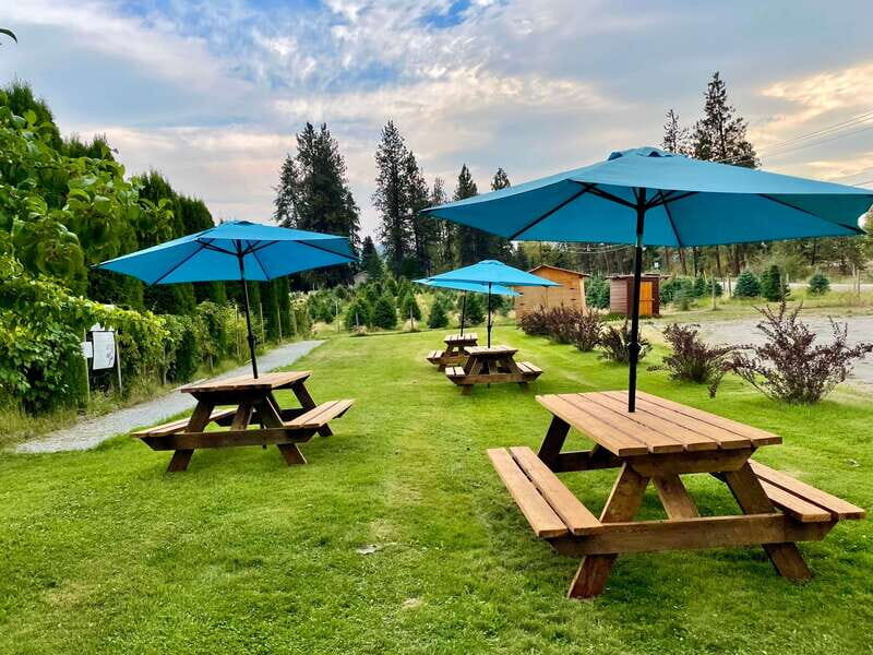Kelowna: E-Bike Guided Wine Tour with Lunch & Tastings - Authentic Experiences and What You’ll Remember