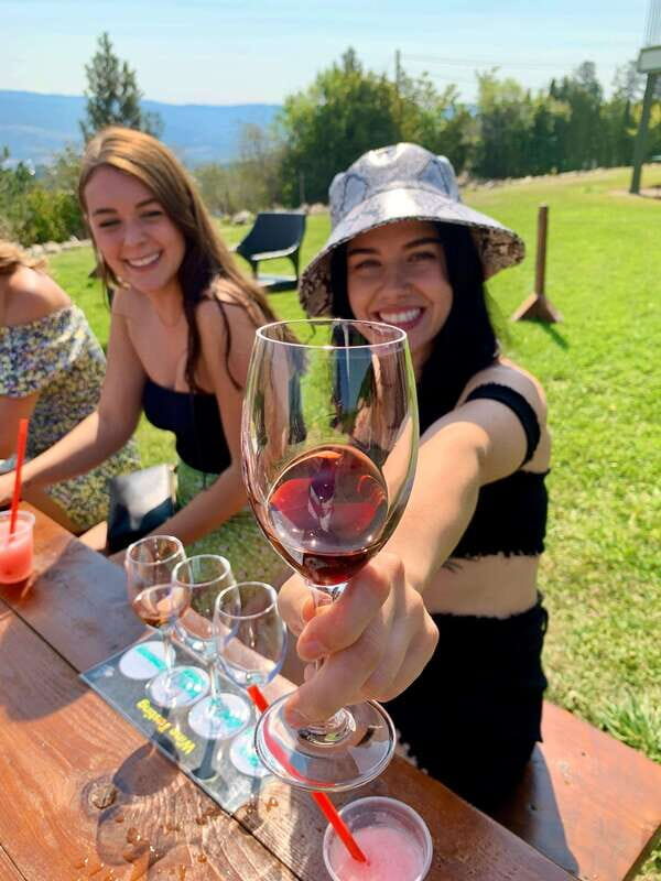 Kelowna: East Kelowna Full Day Guided Wine Tour - Who Will Love This Tour?