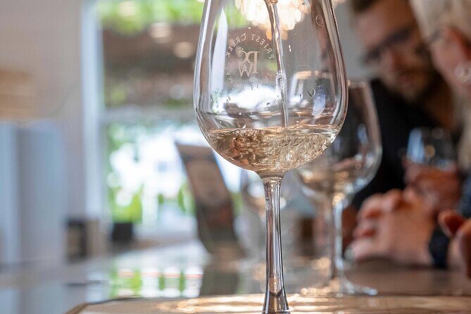 Kelowna Guided E-Bike Wine Tour with Tastings and Okanagan Lunch - Who Is This Tour Best For?
