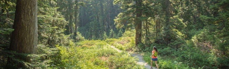Kelowna: Guided Hiking Tour - Key Points