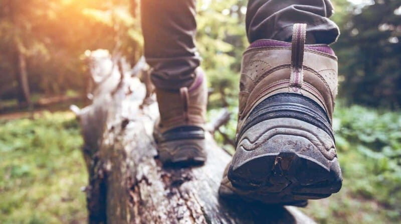 Kelowna: Guided Hiking Tour - From the Reviews: What Others Say