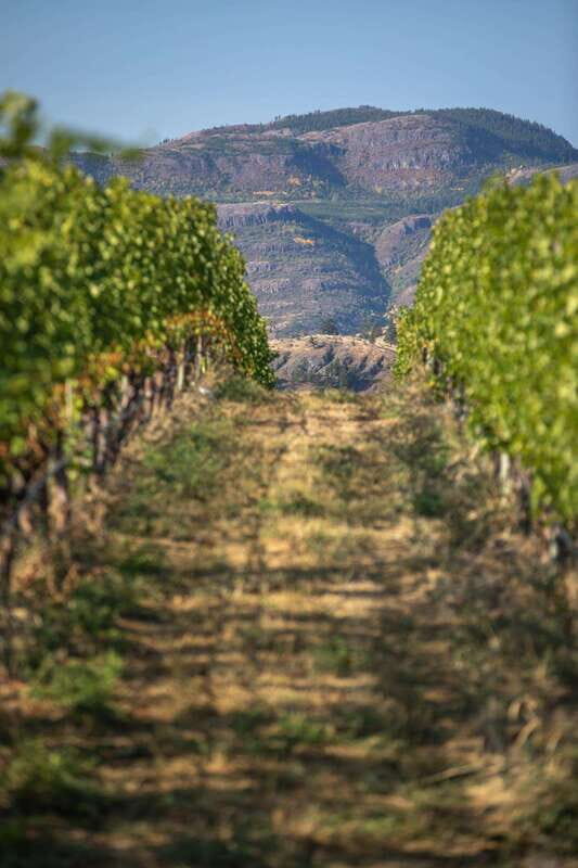 Kelowna: Lake Country Full Day Guided Wine Tour - The Transport and Logistics