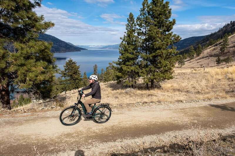 Kelowna: Okanagan Lake Guided E-Bike Tour with Picnic - What Makes This Tour Stand Out?