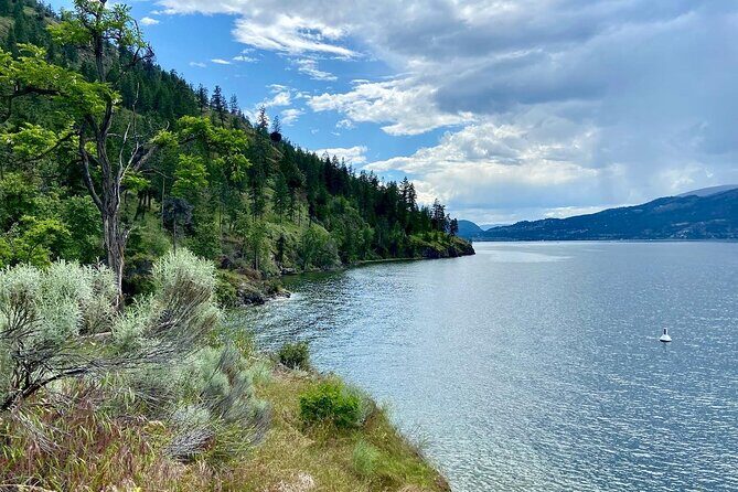 Kelowna: Okanagan Lake Views Guided E-Bike Tour with Picnic - Discovering Kelowna from the Saddle of an E-Bike
